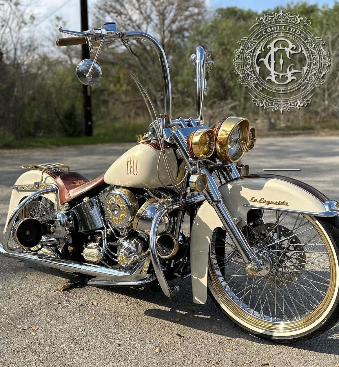 ww.steadycustomcycles.com – STEADYCUSTOMCYCLES